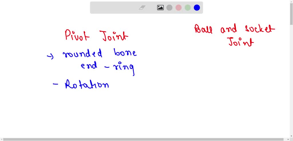 SOLVED: What are the differences between pivot joint and ball and ...