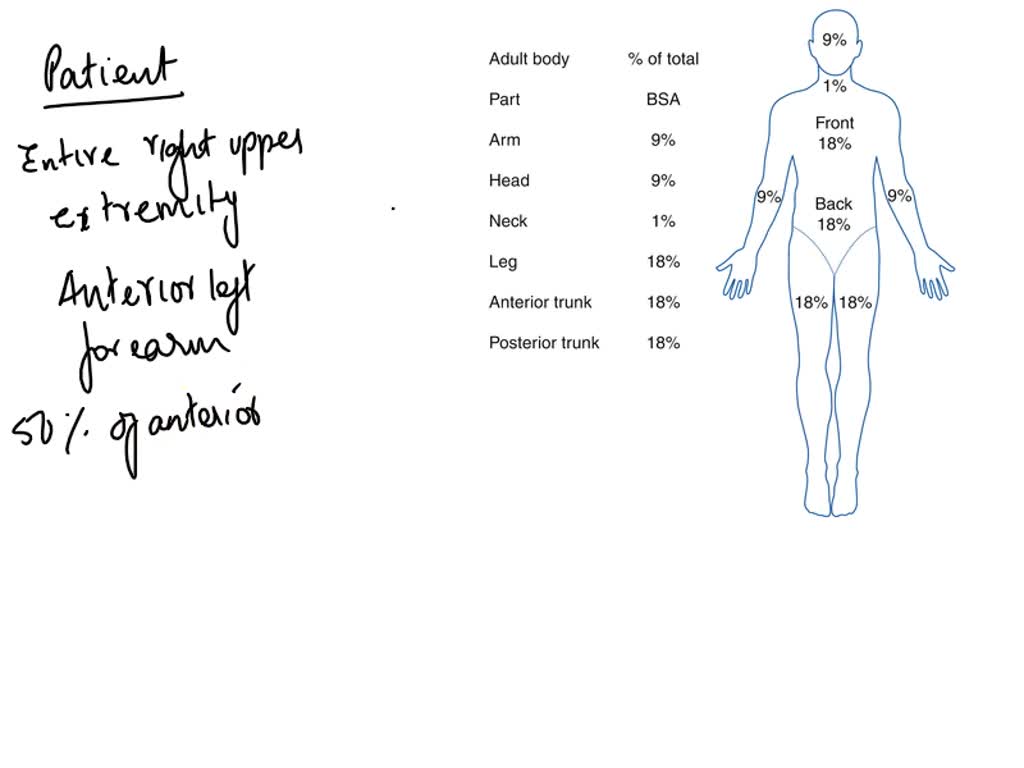 SOLVED: Use the rule of nines to determine the percentage of the body ...