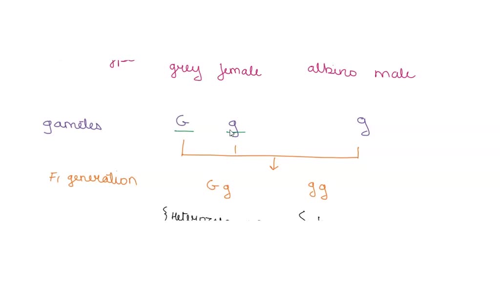 SOLVED:Directions: Solve each problem showing your work For each crOSS ...