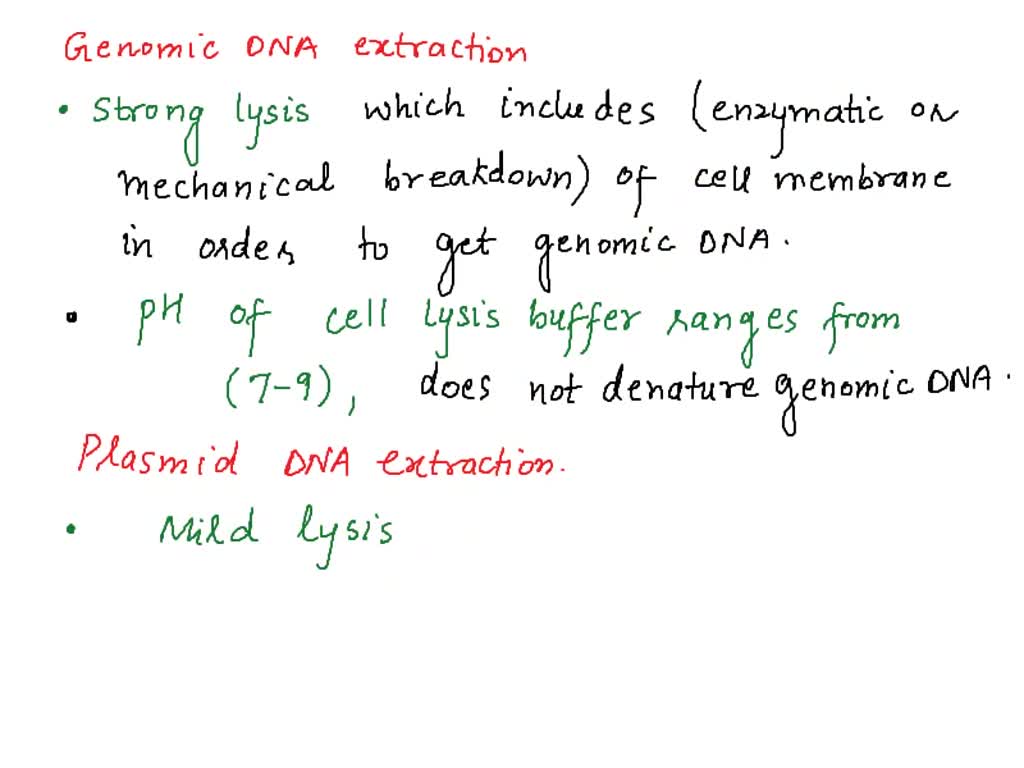 SOLVED: What is the difference betwecn genotic DNA and plasmid DNA in ...