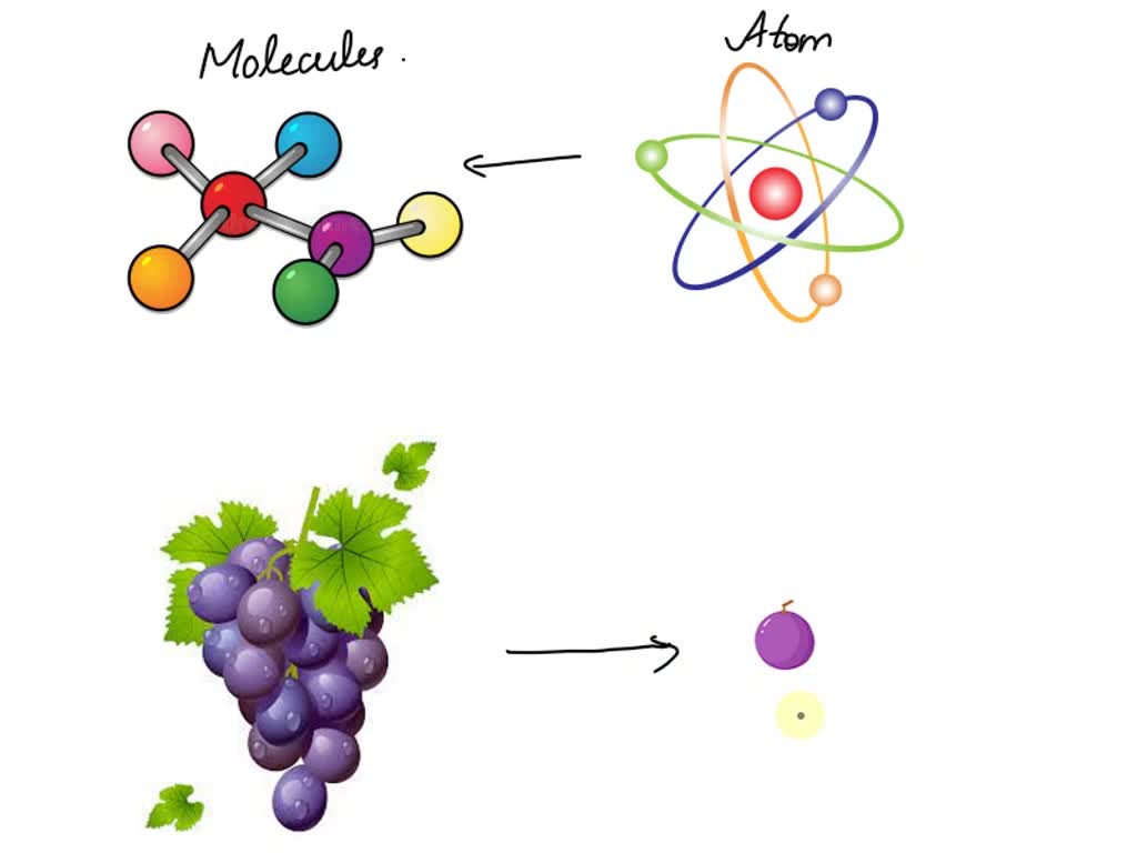 If a bunch of grapes represents a molecule, what does each grape in the ...
