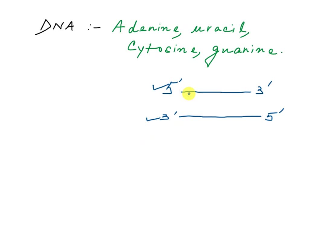 SOLVED: DNA's four-letter code consists of nucleotides that form ... SOLVED: DNA's four-letter code consists of nucleotides that form ...