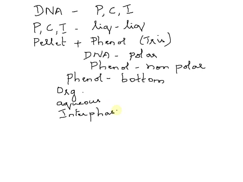 SOLVED: In DNA extraction, after adding phenol chloroform isoamyl ...