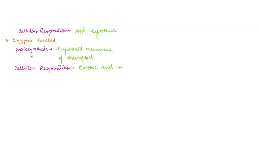 SOLVED: Write out the chemical equation for both photosynthesis and ... SOLVED: Write out the chemical equation for both photosynthesis and ...