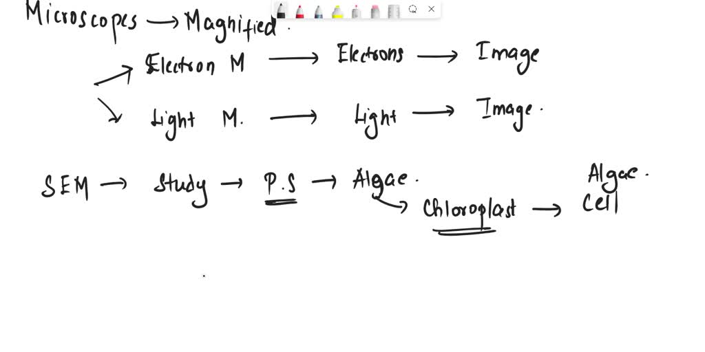 SOLVED: Kate and Sam are using a scanning electron microscope to study ...
