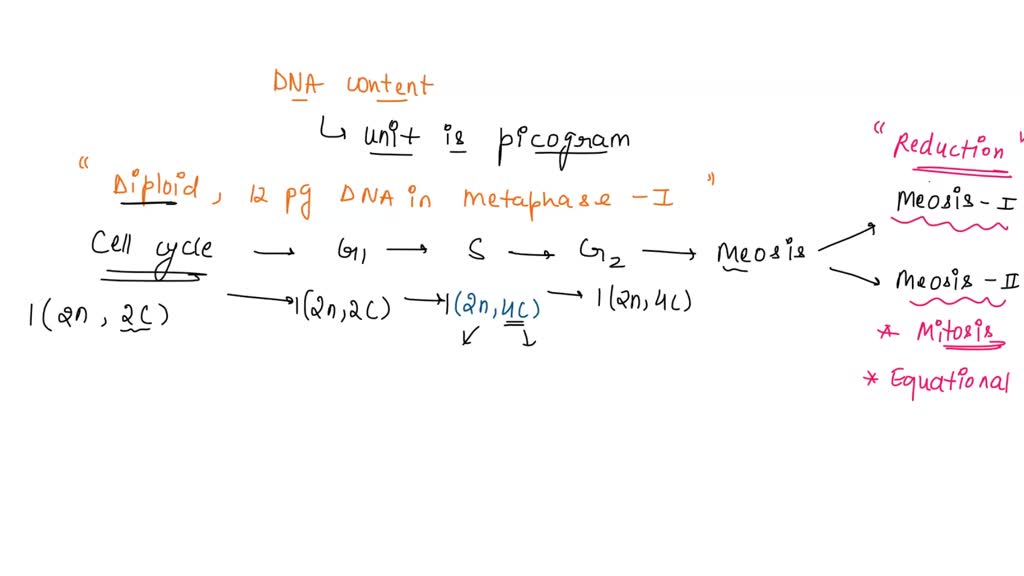 SOLVED: A cell, of a diploid species, has 12 picograms of DNA in ...