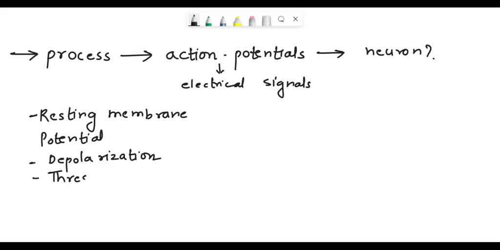 SOLVED: Draw the line and answer the key concept Draw the Action ...