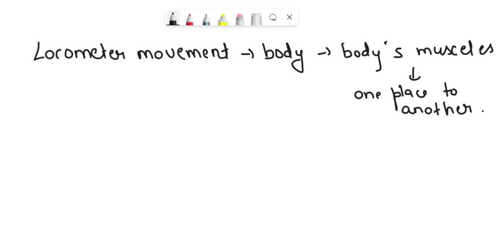 SOLVED: What I Know Questions: What I Learned (Activity 4) 1. What is ...