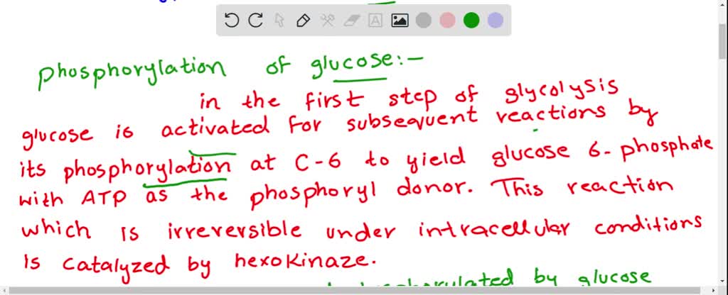SOLVED: Reversible phosphorylation is a control mechanism used ...