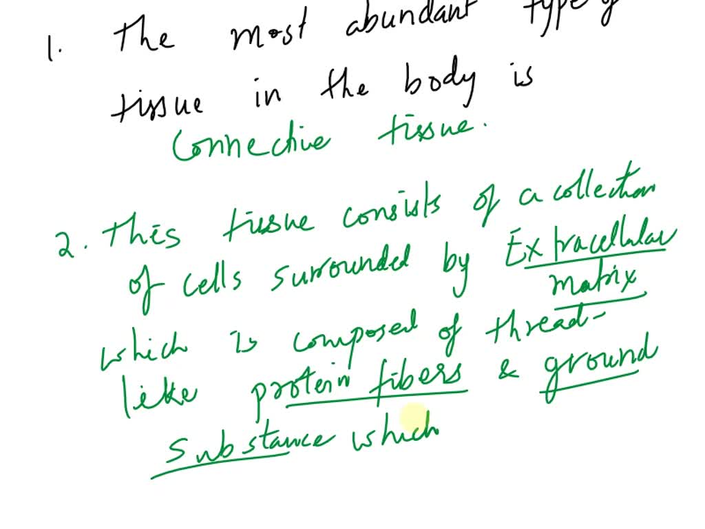 SOLVED: A. Stroma of the testis is composed of dense irregular ...