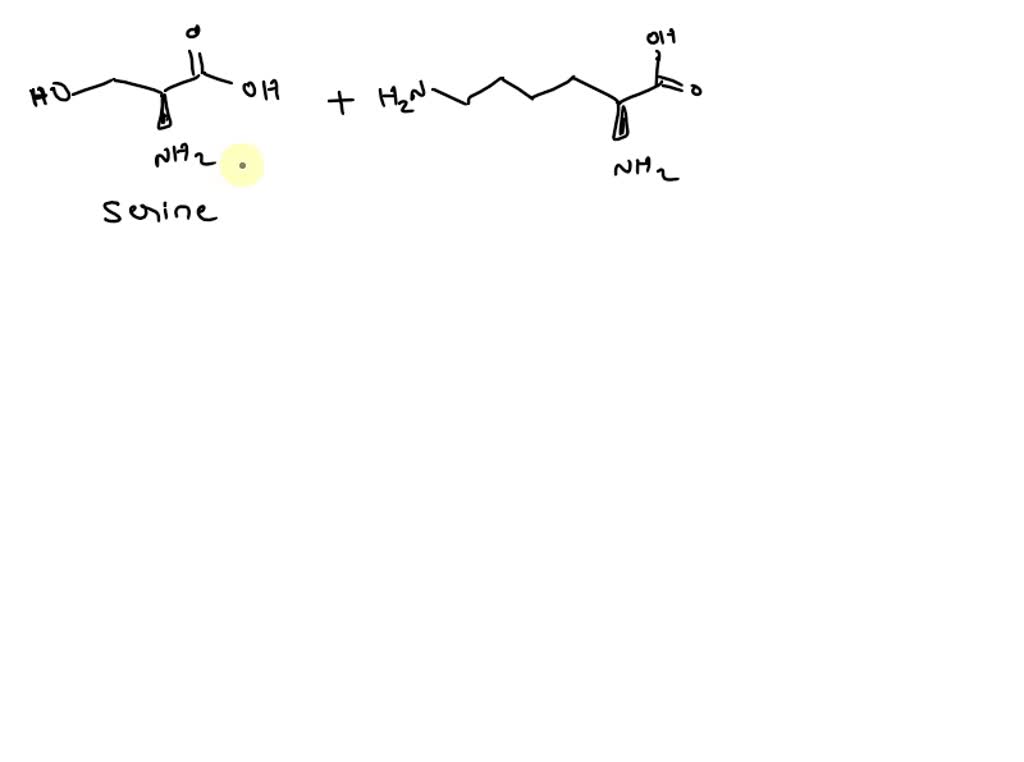 Draw the possible dipeptide, where the -NH2-NH2 group of serine is free ...