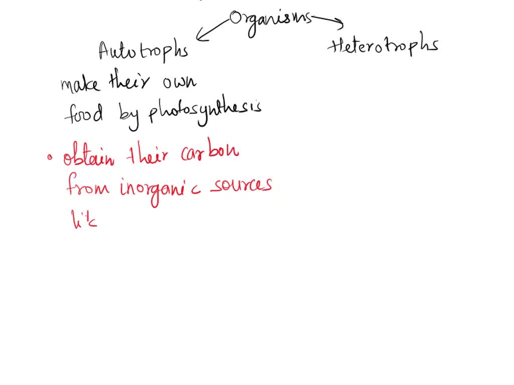 SOLVED: Living organisms are often divided into two groups: those that ...