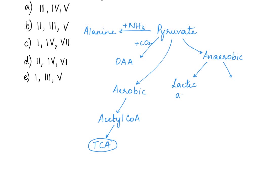 SOLVED: BCH 3023C Biochemistry Gluconcogenesis HW Consider the pyruvate ...