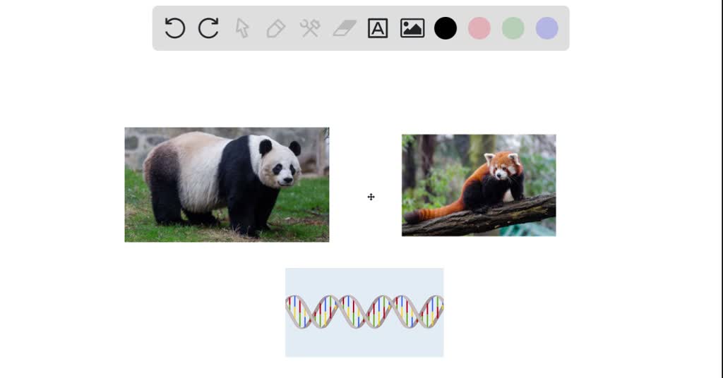 SOLVED: How would scientists best be able to determine if the giant ...