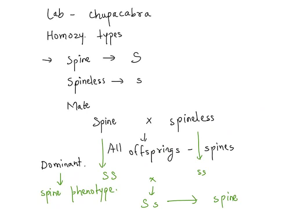 SOLVED: You are studying the genetics of the chupacabra. Two true ...