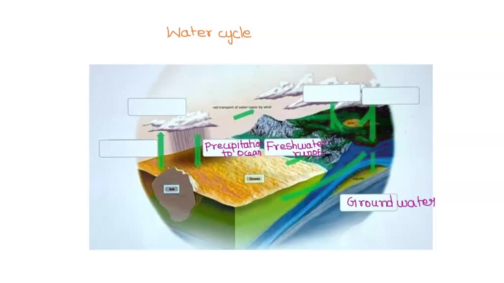 SOLVED: Use the drop-down menus to correctly identify the steps in the ...