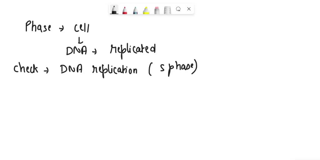 SOLVED: During which phase of the cell cycle does the cell check the accuracy of its DNA ...