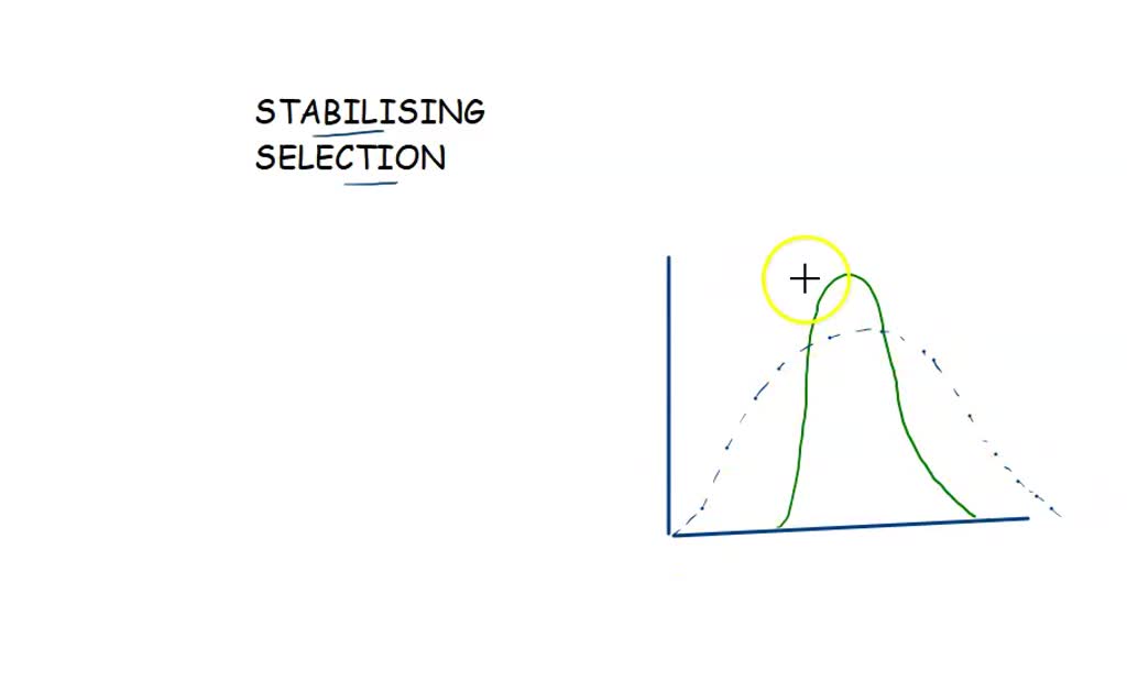 SOLVED: Explain directional, disruptive and stabilizing selection and ...