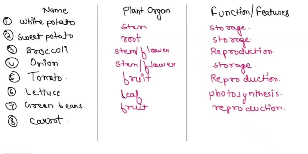 SOLVED: Grocery Store Botany: Examine the variety of produce listed ...