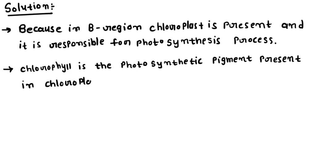 Solved Can Someone Explain Why The Answer Is B Please Thank You
