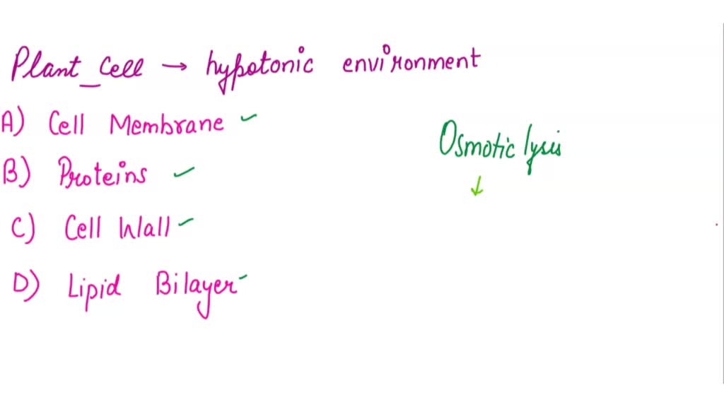 SOLVED: When a plant cell is kept in a hypotonic environment, it swells ...