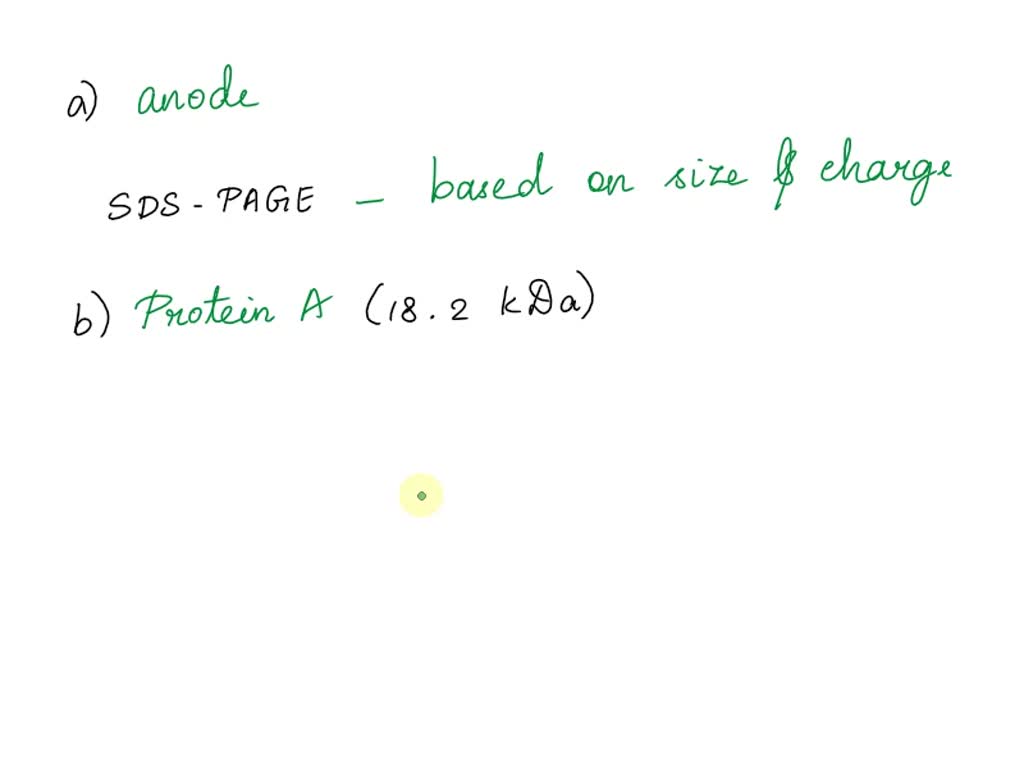 SOLVED: Two proteins with masses of 18.2 kDa (Protein A) and 38.8 kDa ...