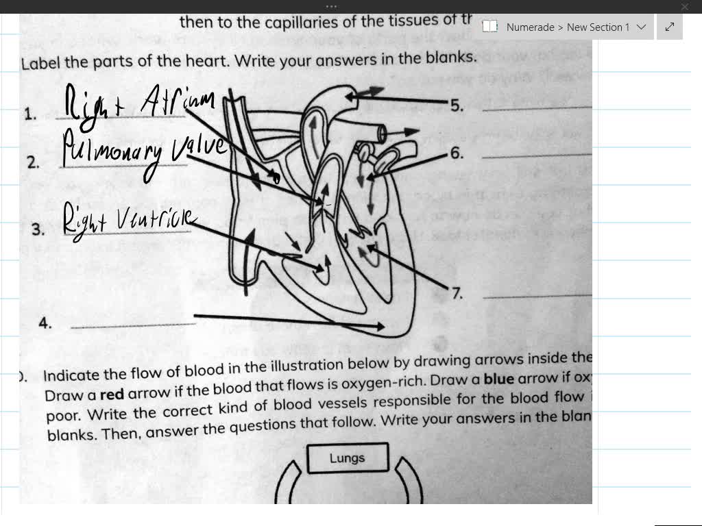 SOLVED: 'need an answer, please need an answer, please. answer the 4 ...