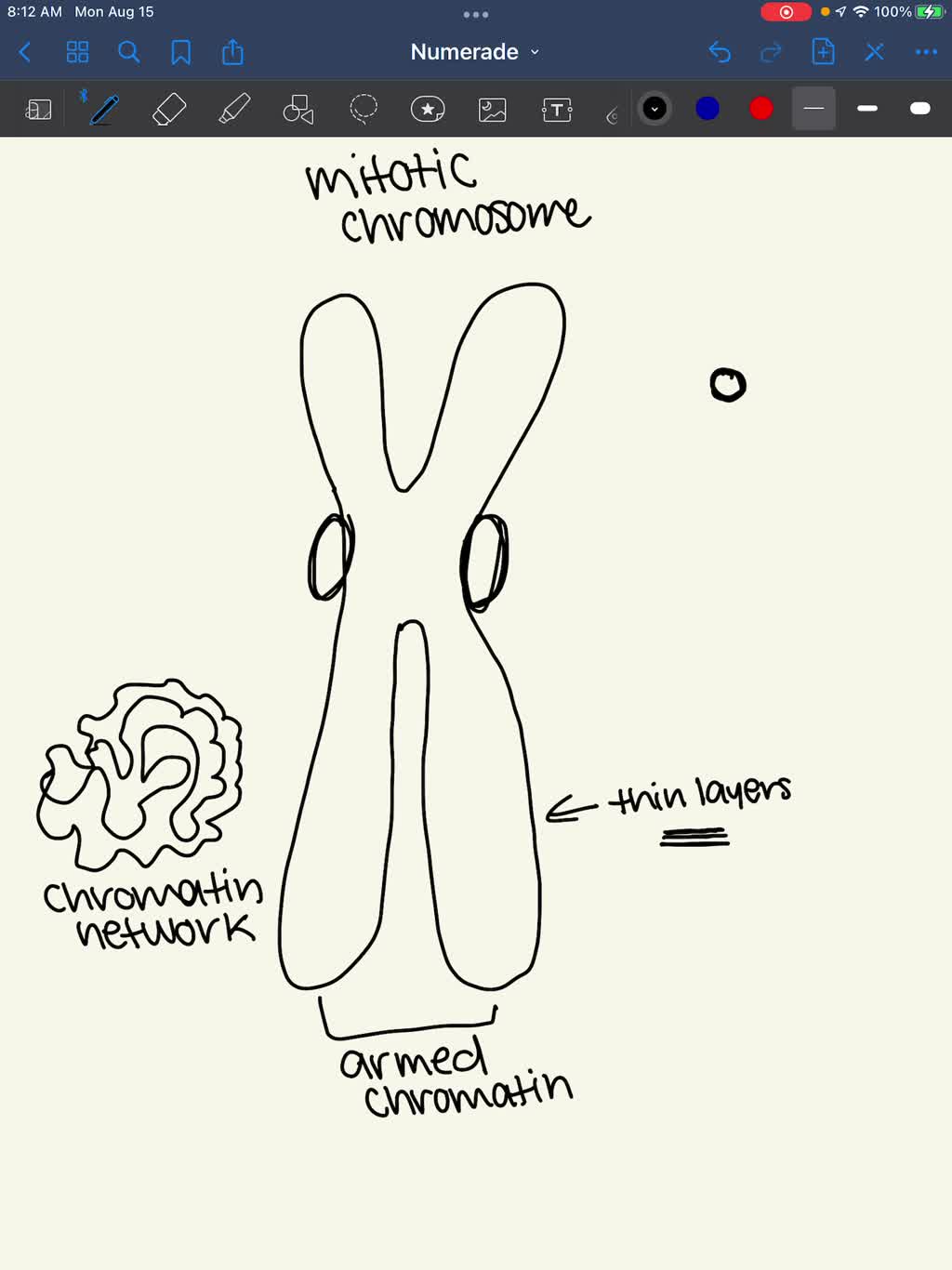 SOLVED: What is the chromosome condition of the generative and pollen ...