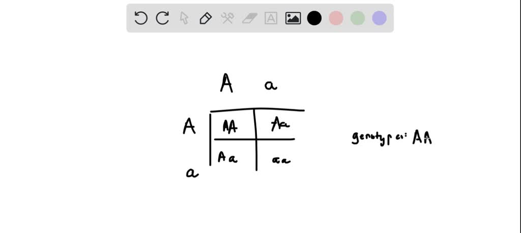 SOLVED: Text: Draw 1-2 Punnett squares on a sheet of paper. Place ...
