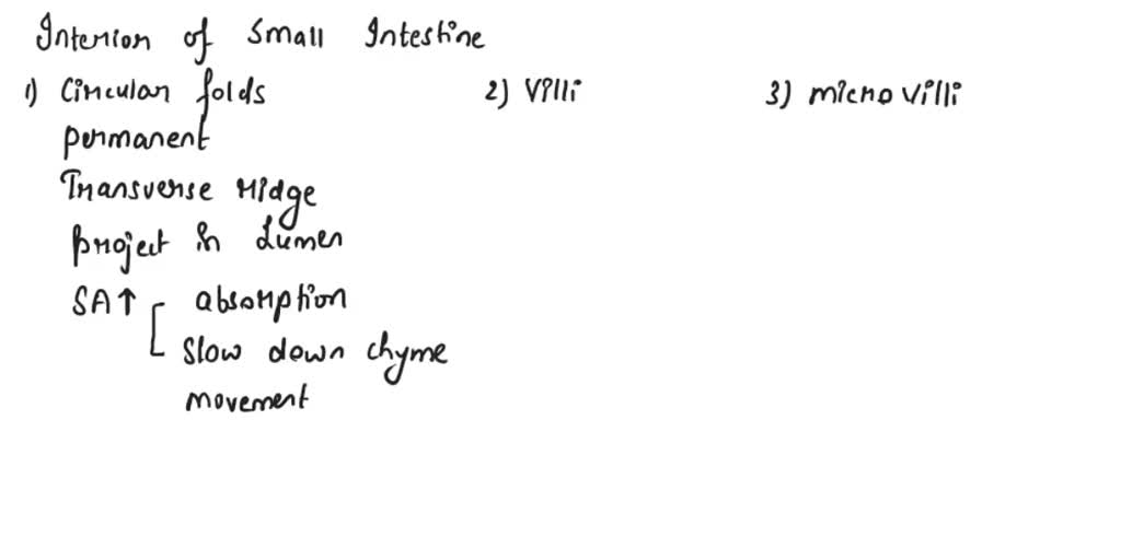 SOLVED: Question text What did the interior of the small intestine look ...