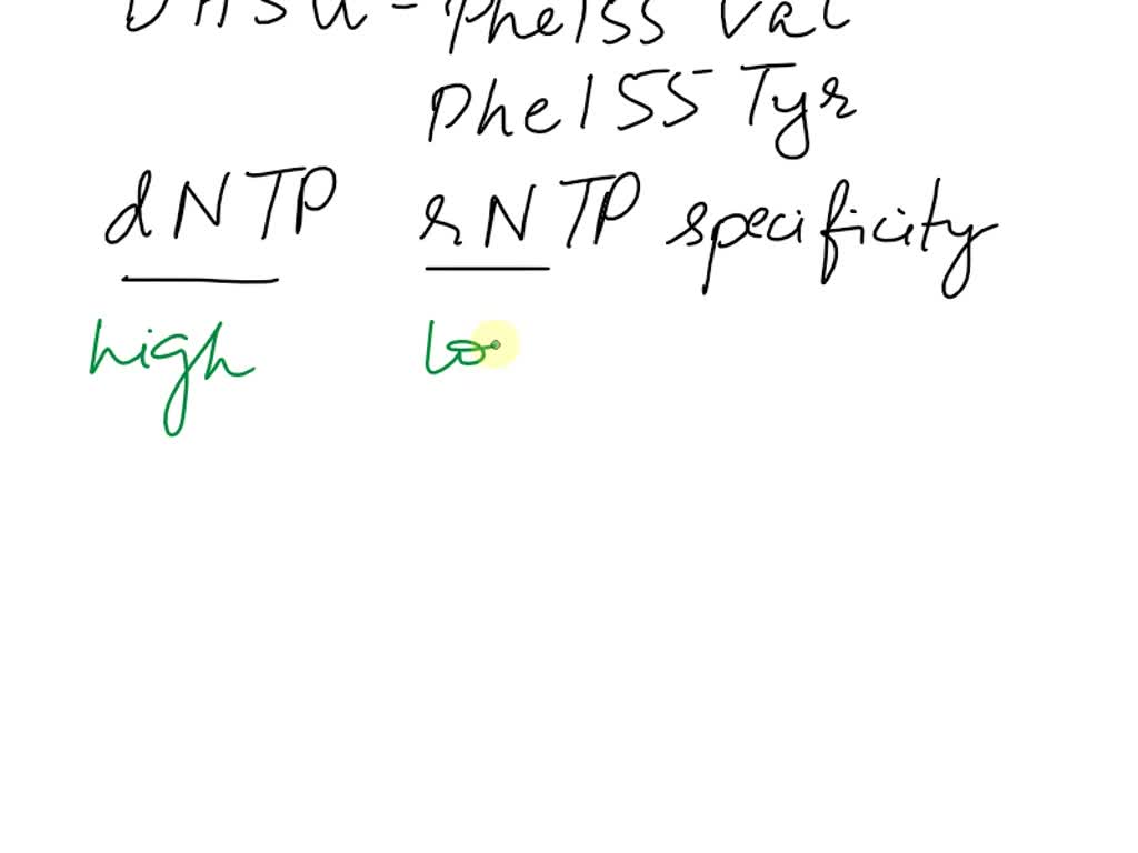 SOLVED: DNA Polymerases are able to selectively utilize dNTPs based on ...