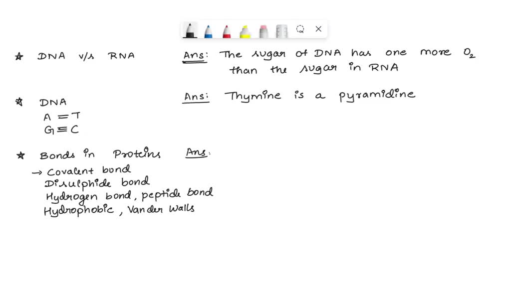 SOLVED: Which of the following statements regarding nucleic acids are ...