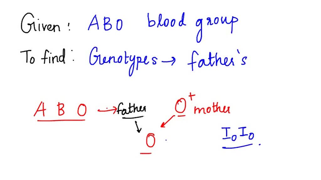 SOLVED: The ABO blood groups in humans are determined by a multiple ...