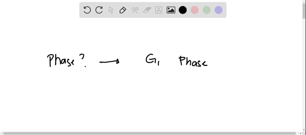 SOLVED: The investigating phase and the initial analysis and design ... SOLVED: The investigating phase and the initial analysis and design ...