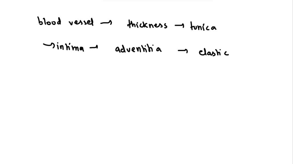 SOLVED: Compare and contrast the histology of an elastic artery, muscular artery, arteriole ...