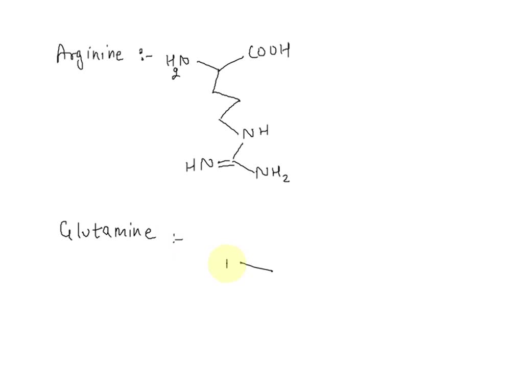 SOLVED: Write the chemical structure for the given oligopeptide with ...