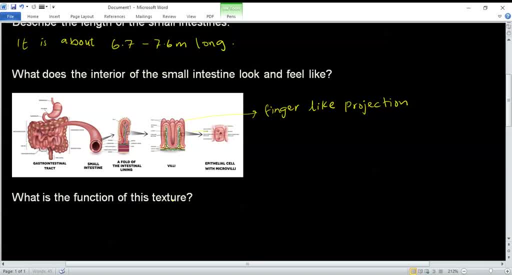 SOLVED: Small intestine connects the stomach to the large intestine. It ...