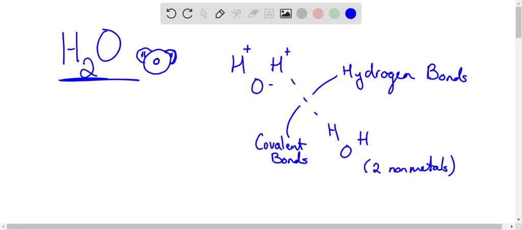 SOLVED: Topic 3: Water Draw a diagram of several water molecules ...