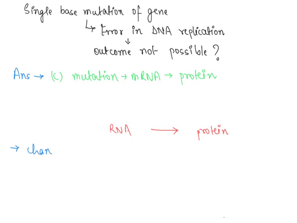 SOLVED: A single base mutation occurs in a gene that codes for a ...