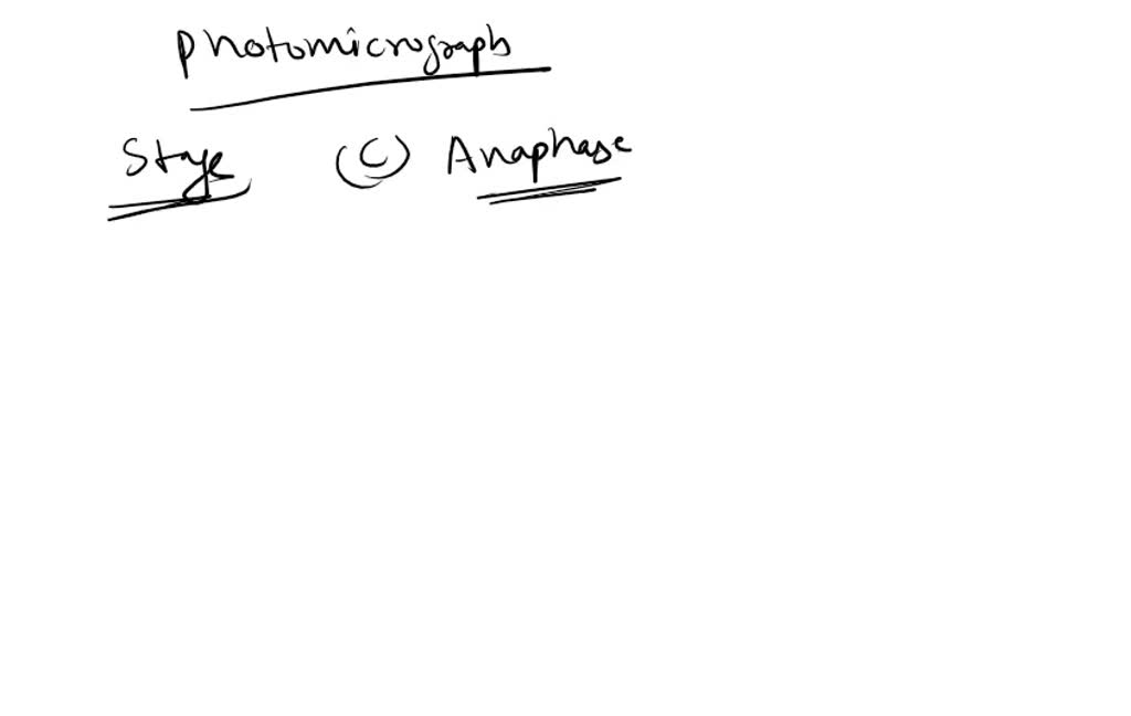 SOLVED Biology Can Somebody Help Me Please Which One Is It A solved-biology-can-somebody-help-me-please-which-one-is-it-a