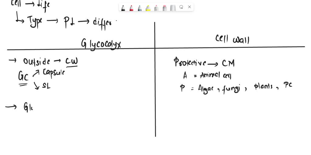 SOLVED: What is the difference between a conventional cell and a primitive cell? What is the ...