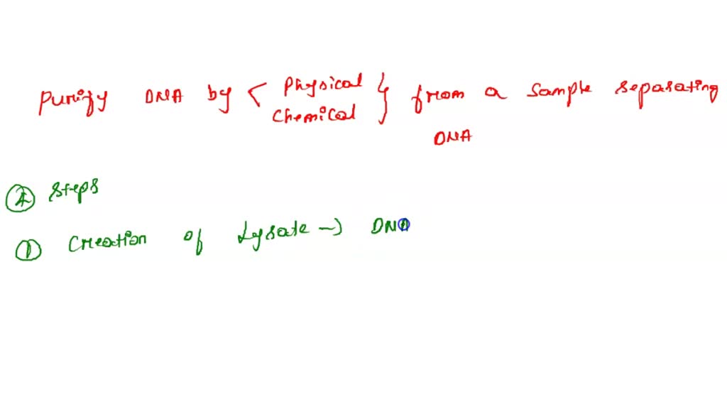 SOLVED: Question 3 Below shows major steps of DNA extraction: I) rinse ...