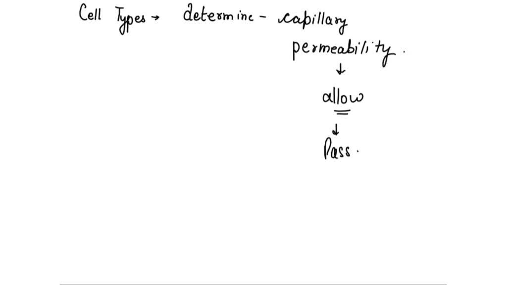 SOLVED: Which of the cell types shown helps determine capillary ...