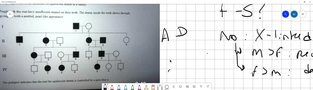 SOLVED: This pedigree shows the incidence of opalescent dentin in a ...