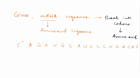 SOLVED: Take the following beginning coding segment of a DNA sequence ...