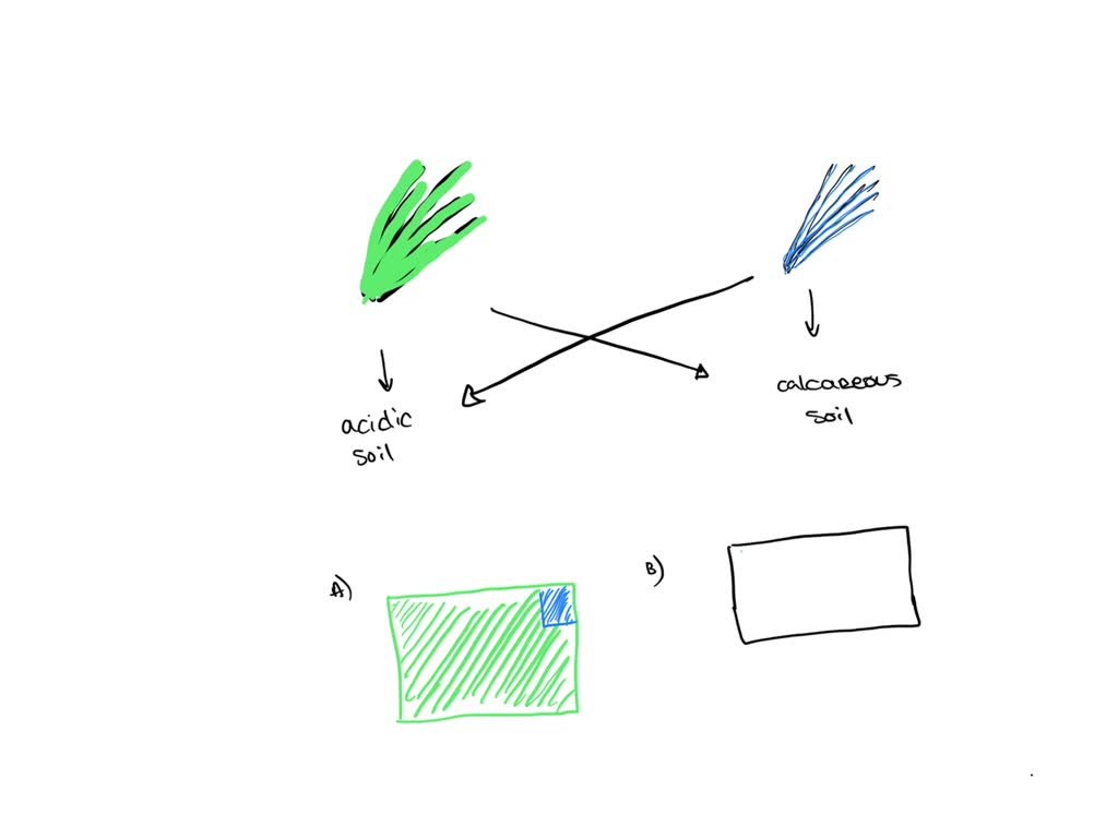 SOLVED: Q5. In 1917, biologist A. G. Tansley performed a famous series ...