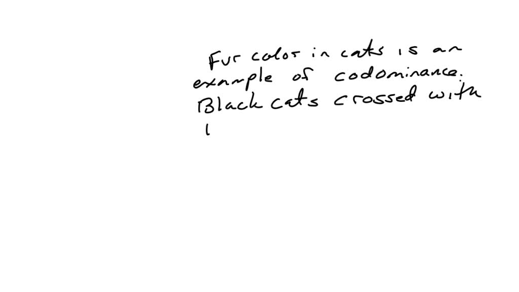 SOLVED: In a complete sentence, explain how a tabby cat offspring can ...