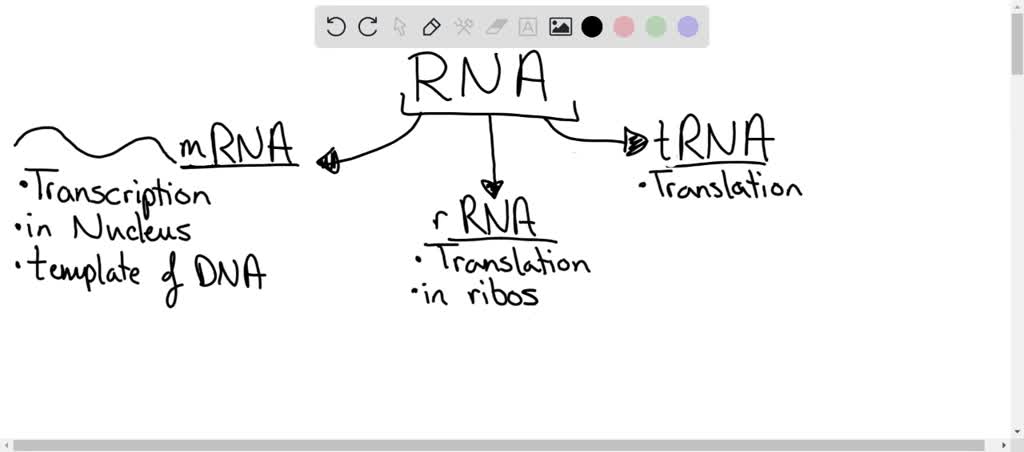 SOLVED: The context and Level-0 DFD depict a university class registration system. Identify and ...