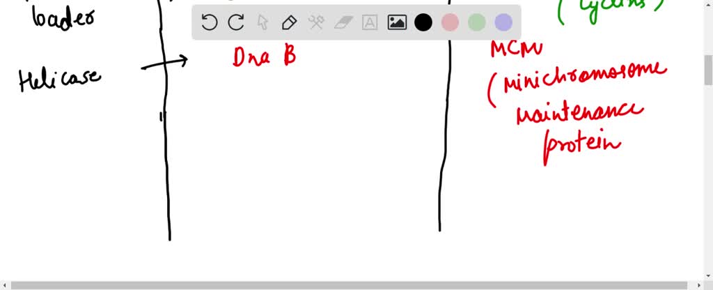 SOLVED: What Are The Differences Between Viral Replication, 03/03/2023