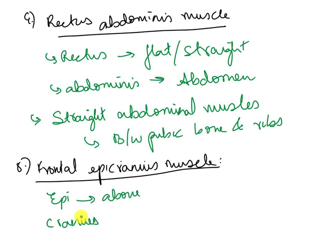 SOLVED: Muscle Names Assignment Give the reasons the following muscles were given their names ...